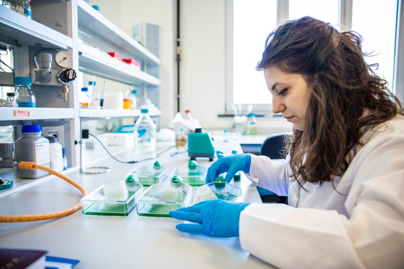 Our work in science | British Council